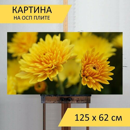 Картина на ОСП 125х62 см. "Хризантемы, астерс, цветок" горизонтальная, для интерьера, с креплениями