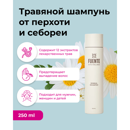 FUENTE Шампунь для чувствительной кожи головы на основе трав MENTA Herbal Shampoo 250 мл / от перхоти, зуда, себореи, сухости / натуральный бессульфатный шампунь с органическими компонентами