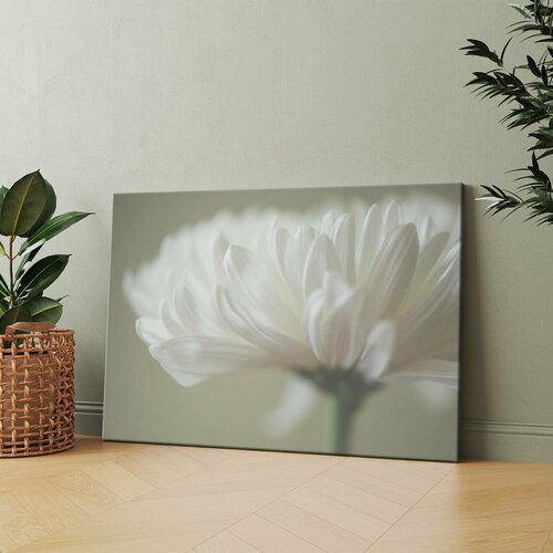 Картина на холсте (Белый цветок с размытым фоном) 40x60 см. Интерьерная, на стену.