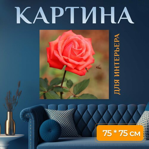 Картина на холсте "Роза, осень, природа" на подрамнике 75х75 см. для интерьера