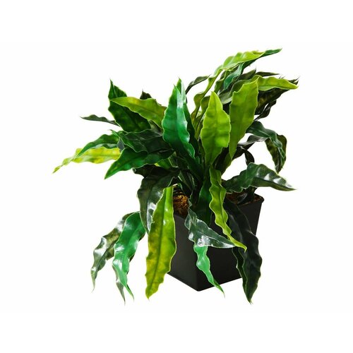 Искусственное растение "Асплениум", в горшке, пластик, 12 см, Boltze
