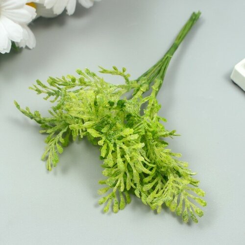 Декор для творчества КНР искусственное растение "Туя" 1 букет из 6 веточек, зеленый, 13 см (7445294)