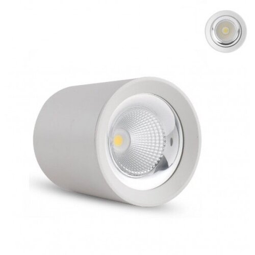 Светильник накладной спот Luce 8748 белый D130/H152/1/LED/20W/4000K