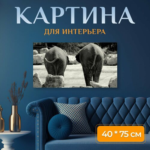Картина на холсте "Слоны, животное, природа" на подрамнике 75х40 см. для интерьера