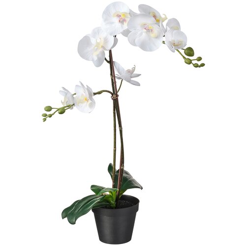 ИКЕА Орхидея искусственная ФЕЙКА 60371960, 58 см 1 белый 12 см 12 см
