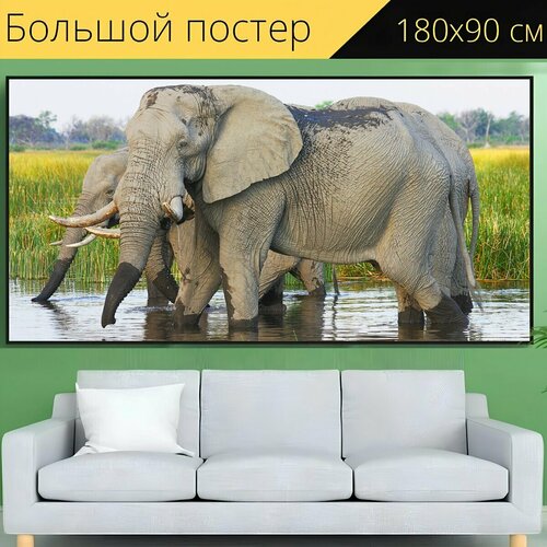 Большой постер "Слон, африке, саванновый африканский слон" 180 x 90 см. для интерьера