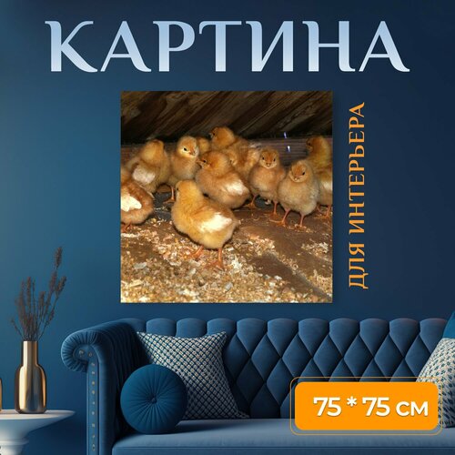 Картина на холсте "Животные, цыпленок, курица" на подрамнике 75х75 см. для интерьера