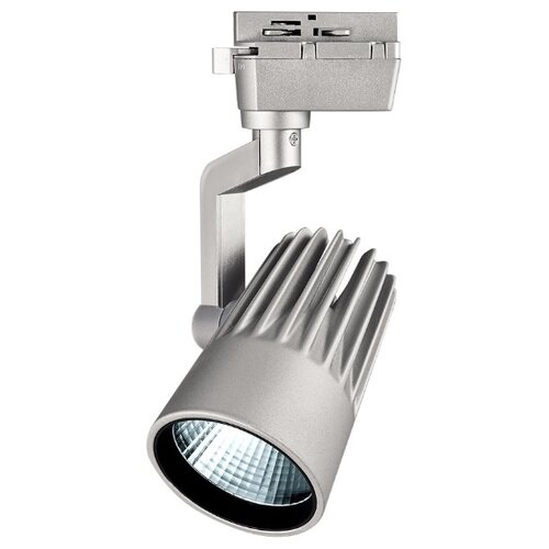 Потолочный светильник jazzway PTR 0130-02 4000к, 4000 К, серый