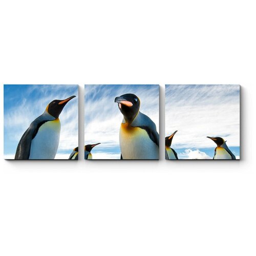 Модульная картина Любопытные пингвины 80x27