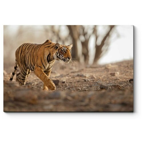 Модульная картина Тигр на охоте50x33