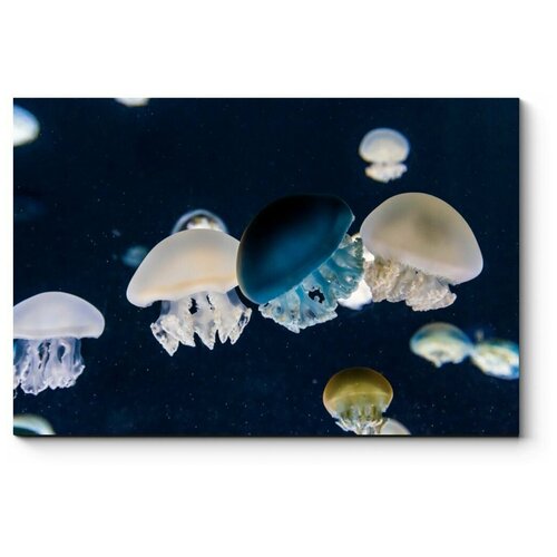 Модульная картина Красивые медузы30x20