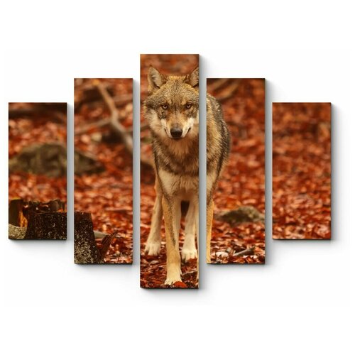 Модульная картина Волк в осеннем лесу 85x68