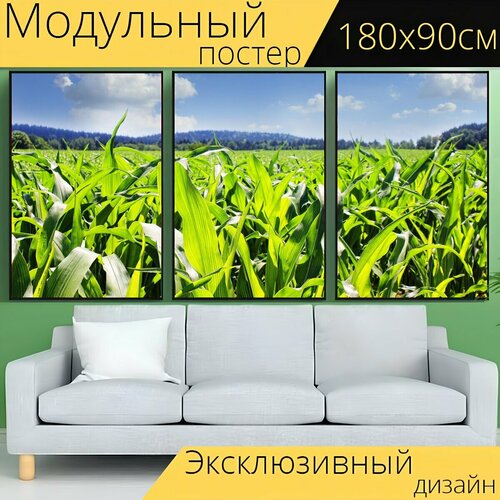 Модульный постер "Поле, кукуруза, кукурузное поле" 180 x 90 см. для интерьера