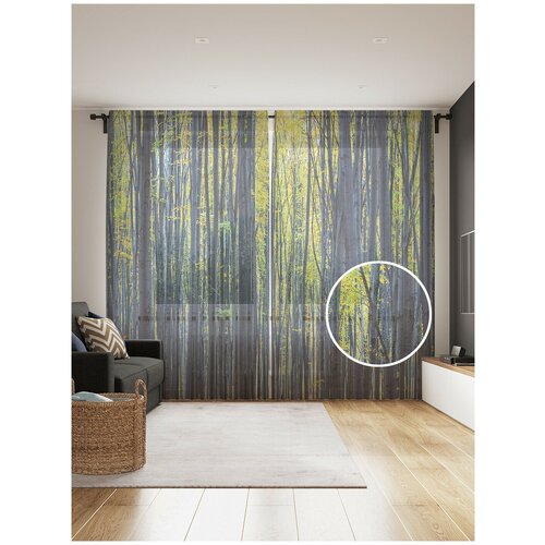 Тюль для кухни и спальни JoyArty "Тонкий лес", 2 полотна со шторной лентой шириной по 145 см, высота 265 см.
