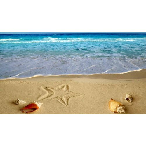 Картина на холсте 60x110 Альянс Лес "Пляж ракушки море" на подрамнике / интерьер/ декор