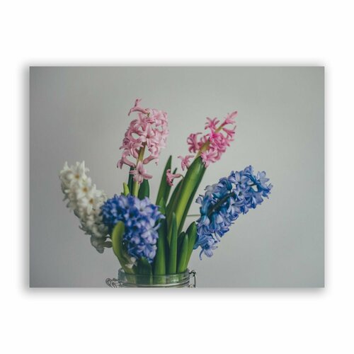 Постер цветы на бумаге / Гиацинт / Размер 30 x 40 см