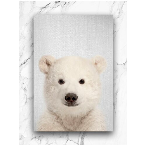 Картины для интерьера на холсте 40х60 см/ Белый медведь