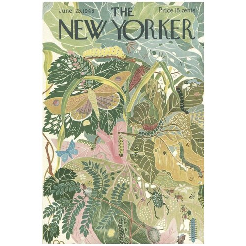Постер / Плакат / Картина Обложки New Yorker - Летняя композиция 50х70 см в раме