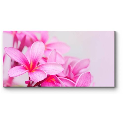 Модульная картина Свежие тропические цветы 110x55