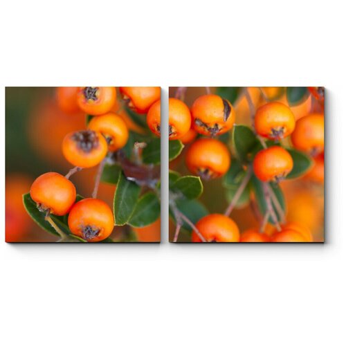 Модульная картина Спелые ягоды рябины 70x35