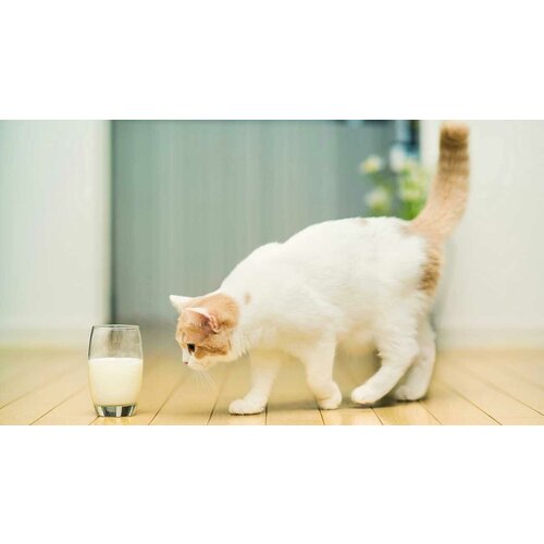 Картина на холсте 60x110 LinxOne "Кошка и стакан с молоком" интерьерная для дома / на стену / на кухню / с подрамником