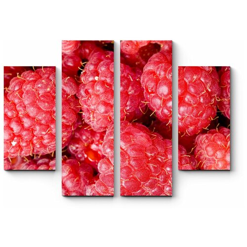 Модульная картина Крупные ягоды малины 90x68