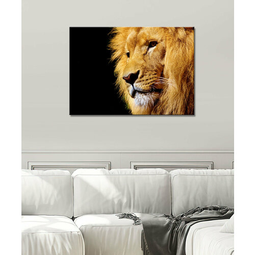 Картина - Лев, лев царь зверей, грозный лев, грива льва, лев на черном фоне (47) 30х40