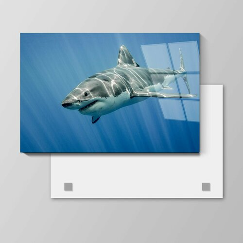 Картина на стекле - "Белая акула" размер 50-75 см