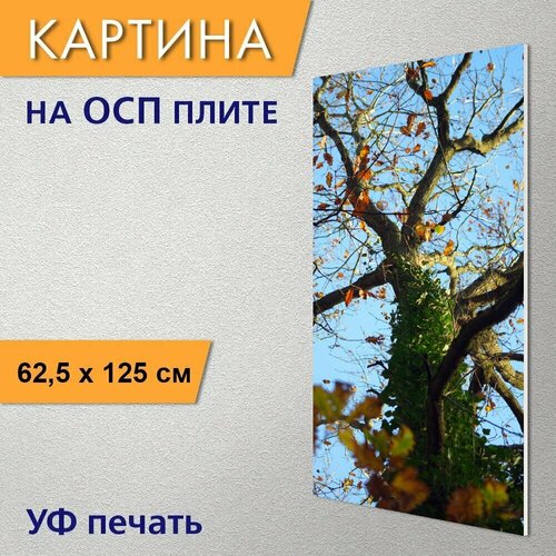 Вертикальная картина на ОСП "Осеннее дерево, дерево, осень" 62x125 см. для интерьериа