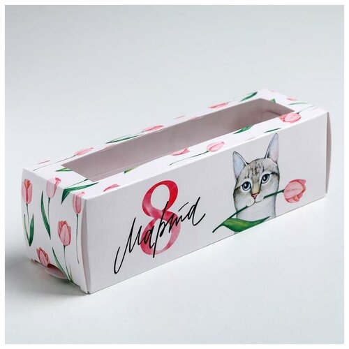 Коробка для макарун «Мартовский котик», 5.5 × 18 × 5.5 см