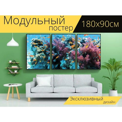Модульный постер "Подводный, море, рыбы" 180 x 90 см. для интерьера