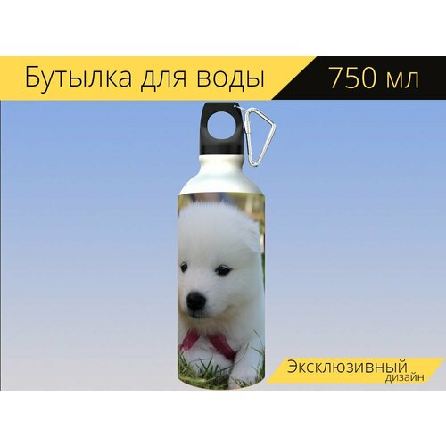 Бутылка фляга для воды "Собака, щенок, самоед" 750 мл. с карабином и принтом