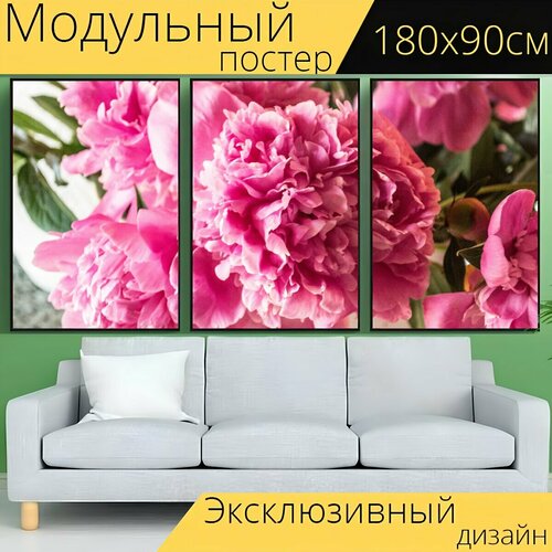 Модульный постер "Цветы, розовый, цвет" 180 x 90 см. для интерьера