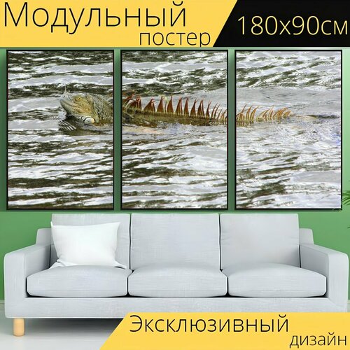 Модульный постер "Игуана, плавание, озеро" 180 x 90 см. для интерьера