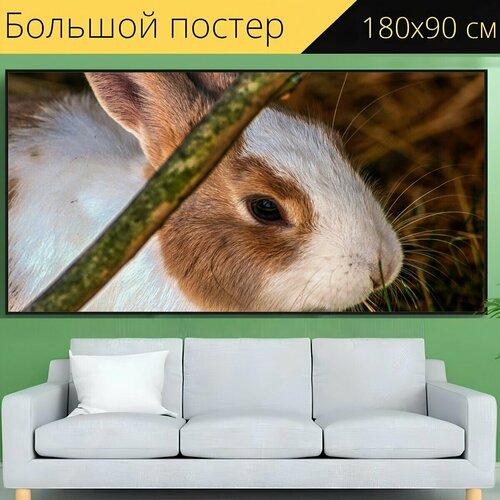 Большой постер "Кролики, кролик, закрывать" 180 x 90 см. для интерьера
