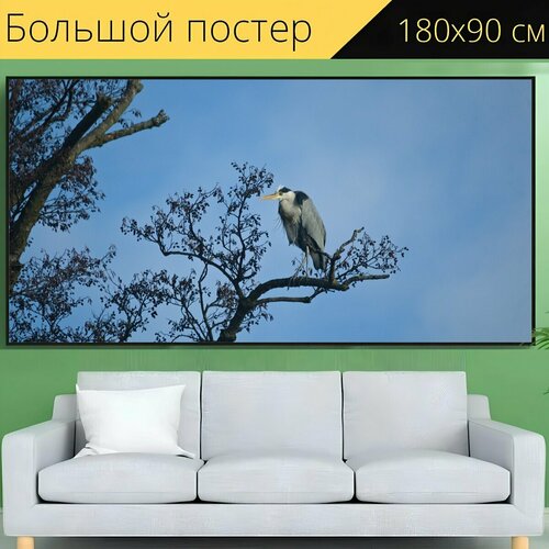 Большой постер "Серая цапля, цапля, птица" 180 x 90 см. для интерьера