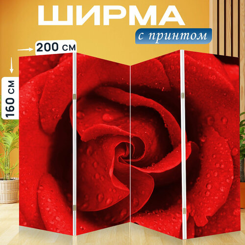Ширма перегородка с принтом "Цветок, красная роза, романтический" на холсте - 200x160 см. для зонирования, раскладная