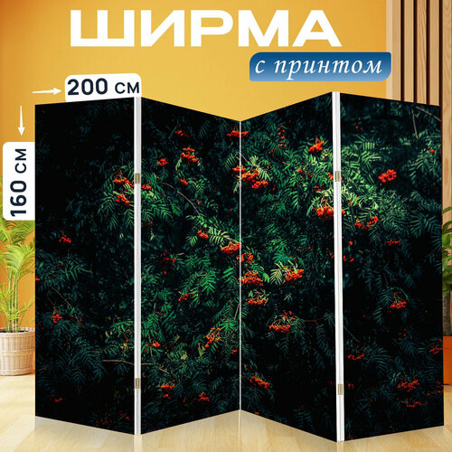 Ширма перегородка с принтом "Рябина, листья, красный" на холсте - 200x160 см. для зонирования, раскладная