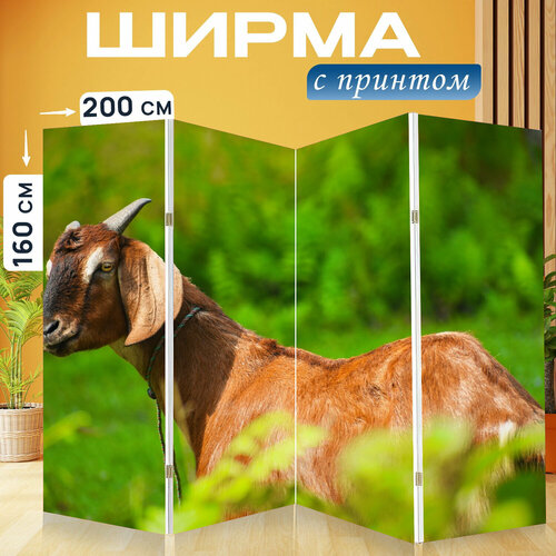 Ширма перегородка с принтом "Природа, животное, трава" на холсте - 200x160 см. для зонирования, раскладная