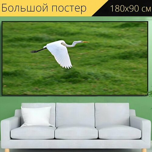 Большой постер "Белая цапля, болотная птица, животное" 180 x 90 см. для интерьера