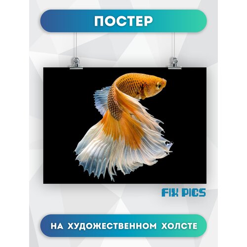 Постер на холсте Рыба (18) 40х60 см