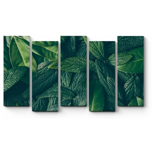 Модульная картина Зеленые сочные листья210x121