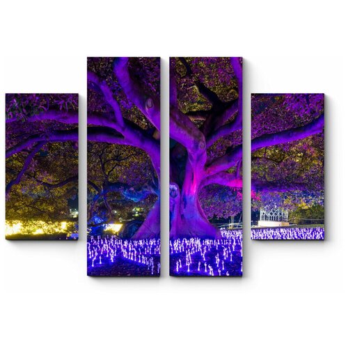 Модульная картина Фестиваль света, Сидней 100x75