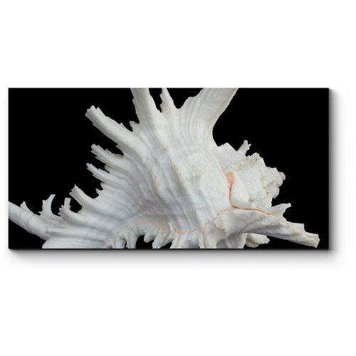 Модульная картина Морская раковина 140x70