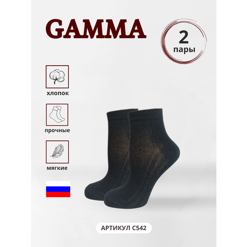 Носки Гамма 2 пары, размер 20-22, черный