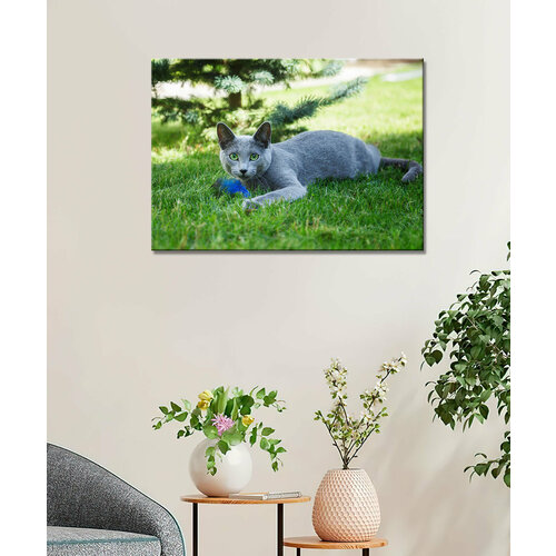 Картина - кошка, русская голубая кошка, домашняя кошка, ласковая кошка, короткошерстная кошка, кот (80) 30х40