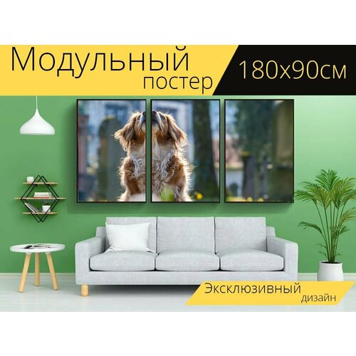 Модульный постер "Собака, внимание, собака смешанной породы" 180 x 90 см. для интерьера