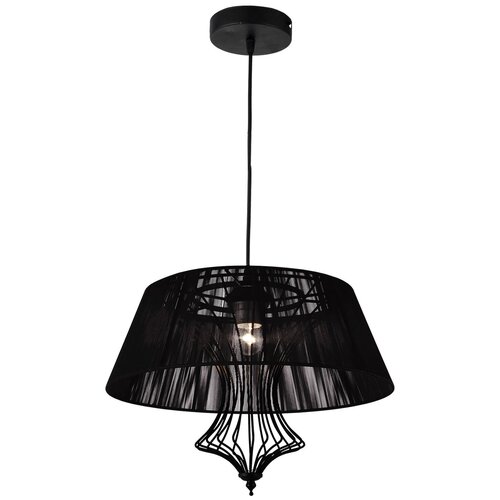 Светильник Lussole Cameron LSP-8106, E27, 40 Вт, кол-во ламп: 1 шт., цвет: черный