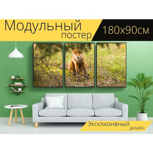 Модульный постер "Лиса, дикое животное, шерсть" 180 x 90 см. для интерьера