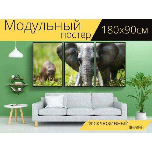 Модульный постер "Слоны, игрушки, трава" 180 x 90 см. для интерьера